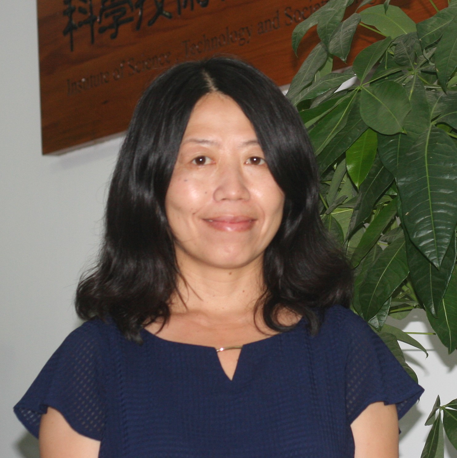 Hong Wei - Harvard-Yenching Institute
