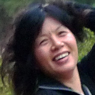 Song Ping - Harvard-Yenching Institute