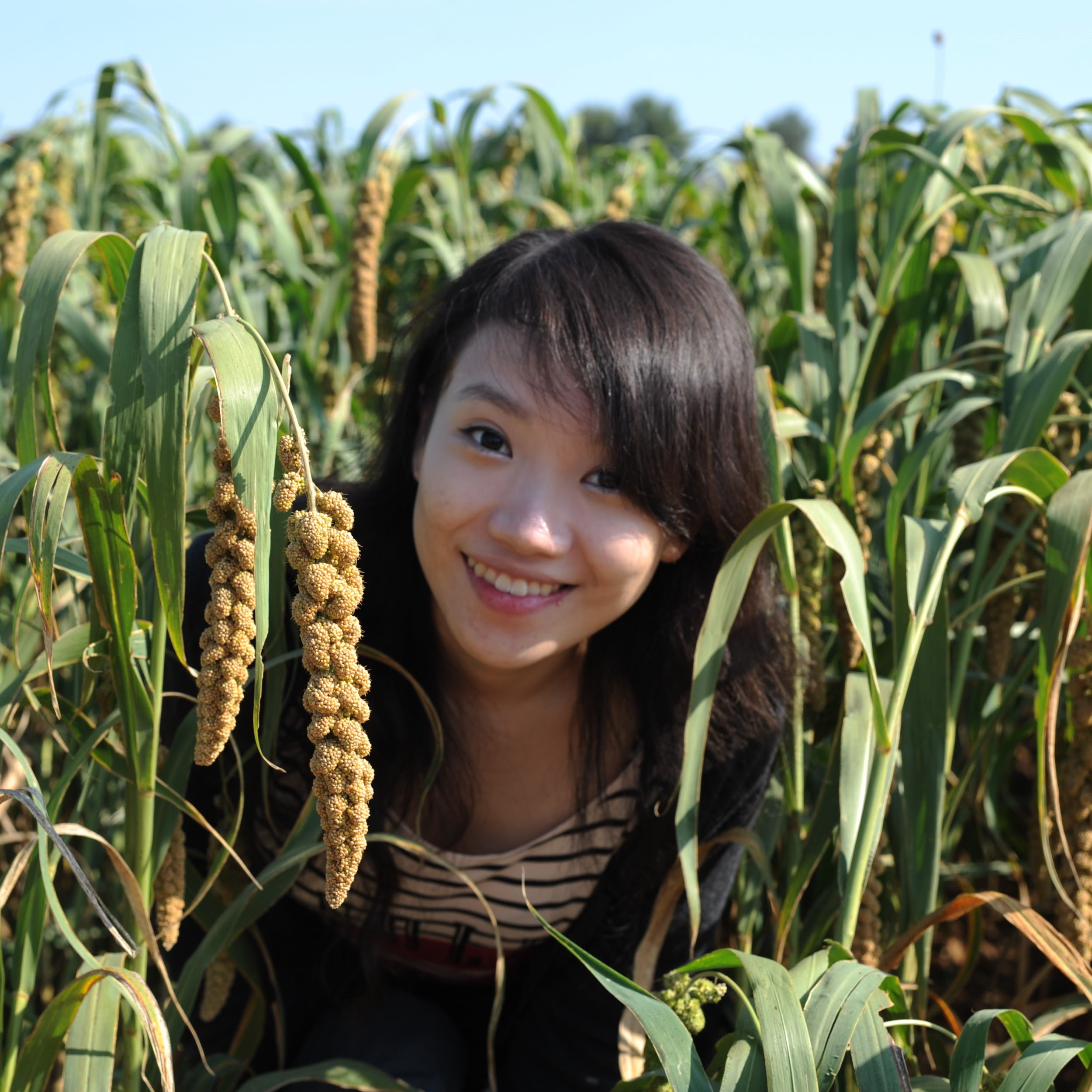 Wen Yadi - Harvard-Yenching Institute