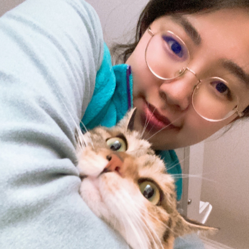 Li Chenyang - Harvard-Yenching Institute