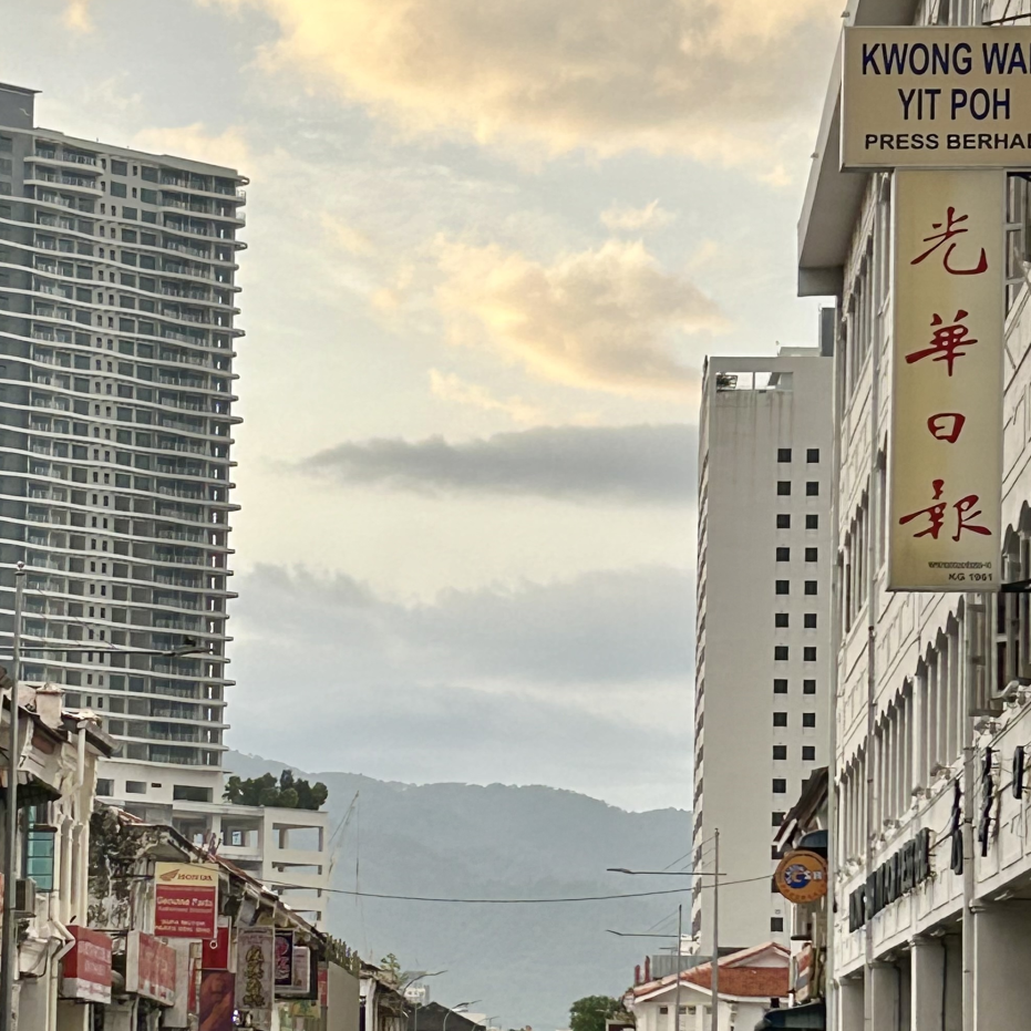 "Chinese Communities in Southeast Asia: History, Culture, and ...