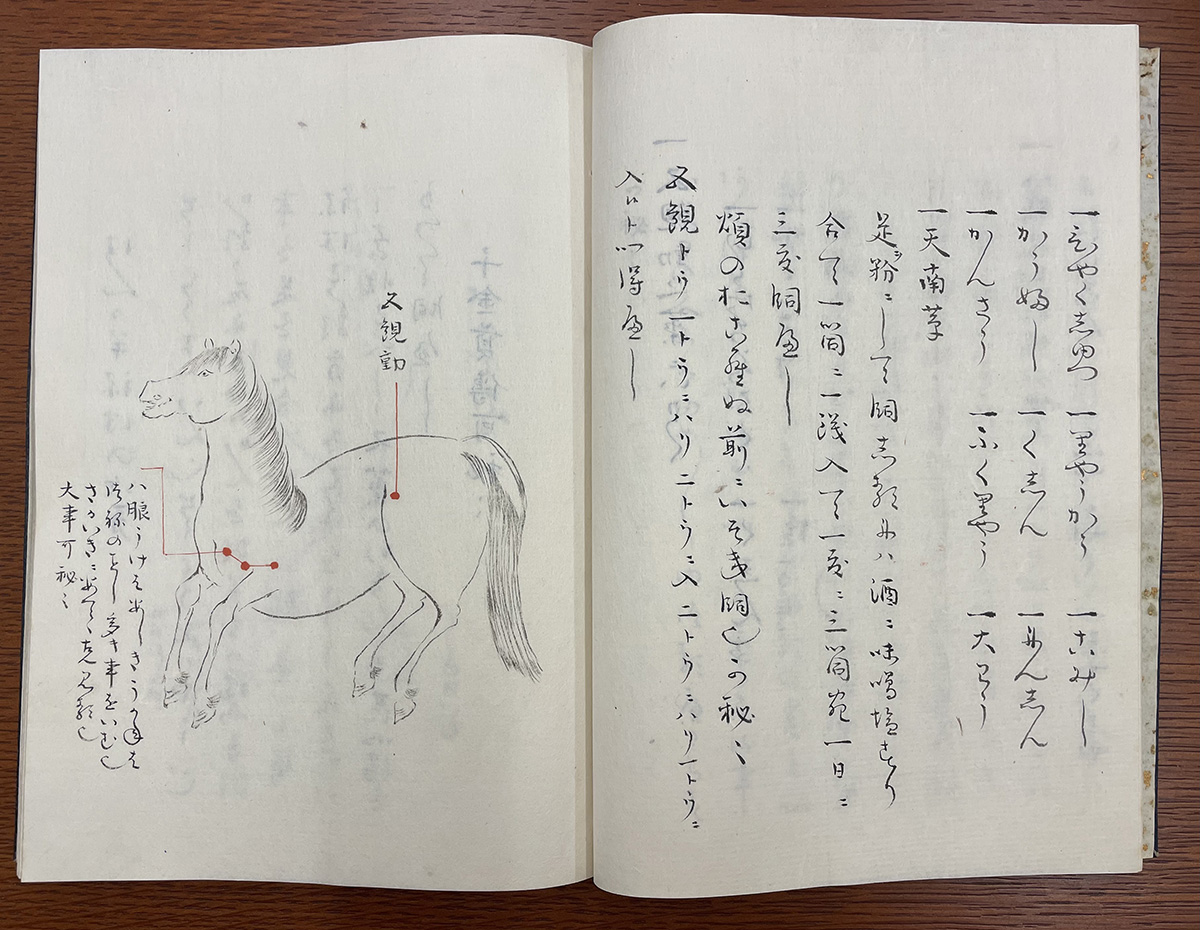 田中家秘傳書 (Tanaka ke Hidensho) - Harvard-Yenching Institute