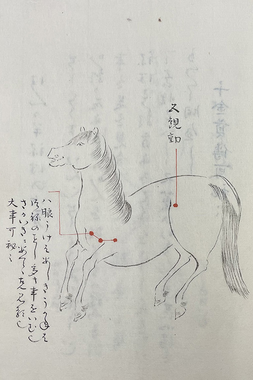 田中家秘傳書 (Tanaka ke Hidensho) - Harvard-Yenching Institute